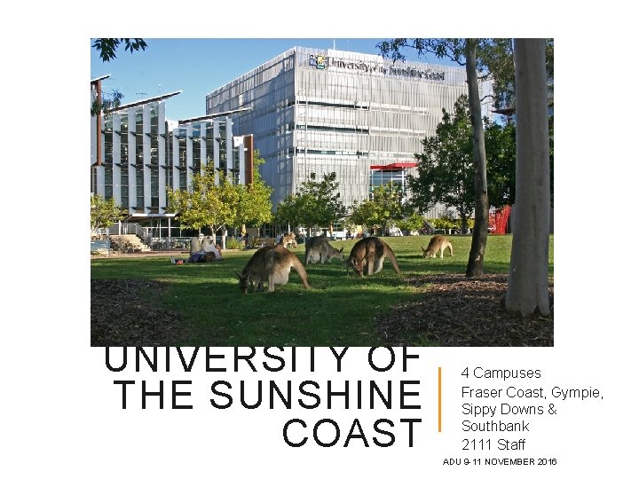 PRAC TEACHER AUTOMATED PAYMENTS SESSION 36006 9 November