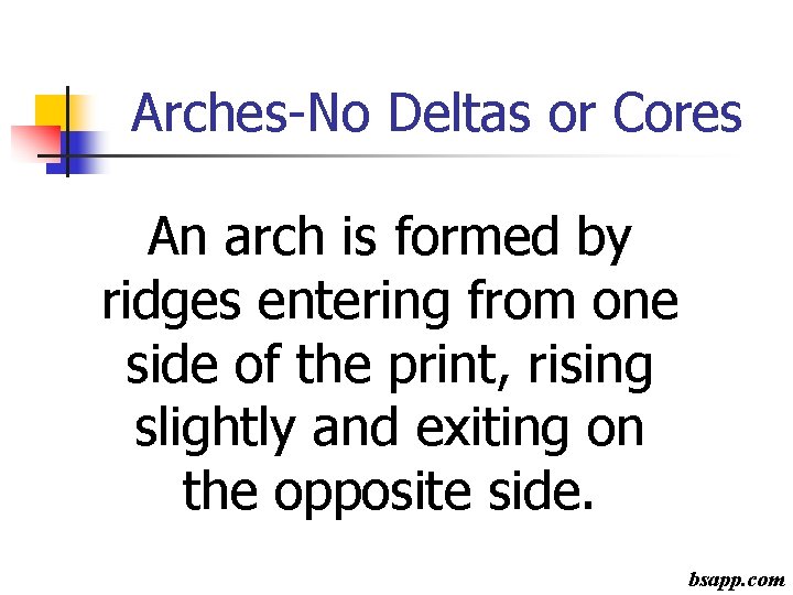 Classes of Fingerprints bsapp com ArchesNo Deltas or
