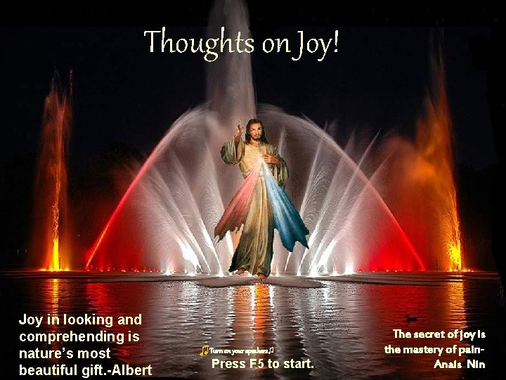 Thoughts on Joy Joy in looking and comprehending