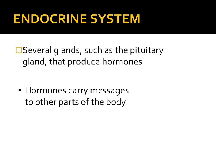 Grade 8 Science October 25 2012 Organ Systems