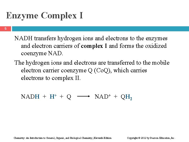 Chapter 18 Metabolic Pathways and Energy Production 1