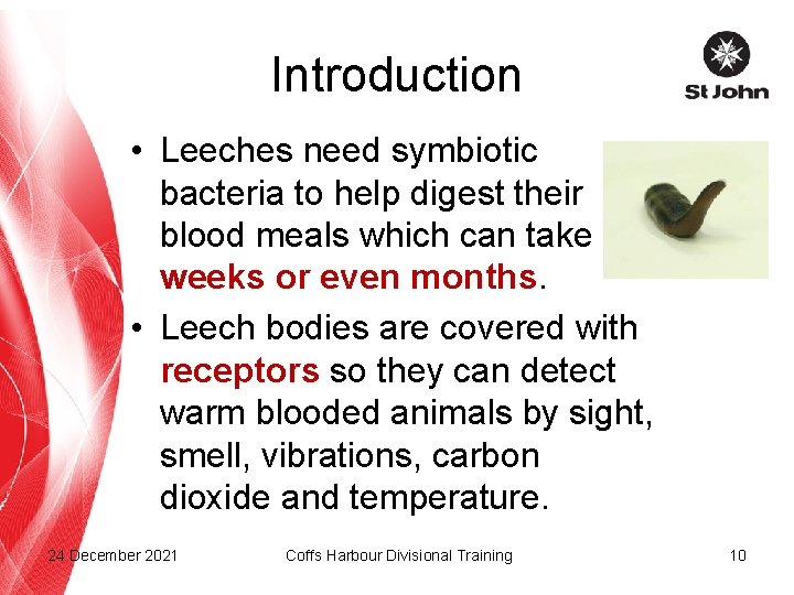 Leech bite Introduction Leeches are Annelids or segmented
