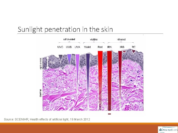 Sun Damage and Sun Benefits Strengthening the European