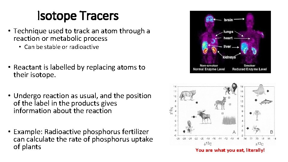Unit 1 The Cell Chapter 2 Basic Chemistry