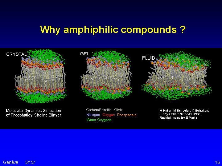 Antibiotic transporters biology medical issues and drug development