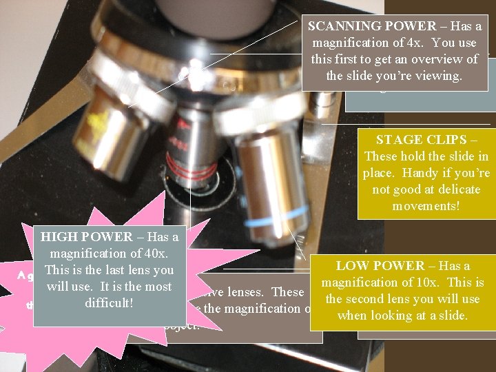 Microscopes Microscopes are instruments used to produce an