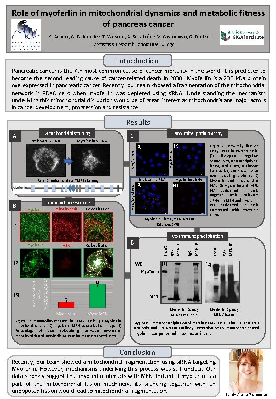 Role of myoferlin in mitochondrial dynamics and metabolic