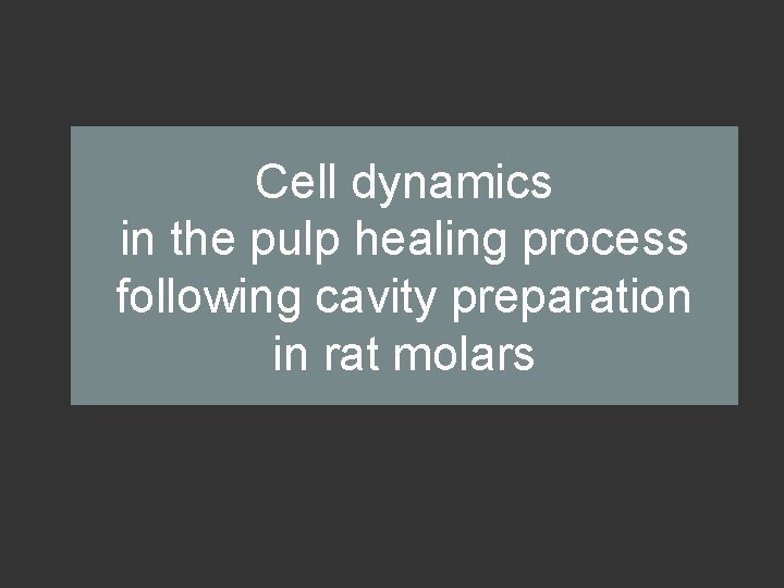 Cell dynamics in the pulp healing process following