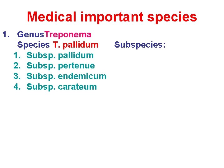 Pathogenic spirochetes Classification biological properties and their role