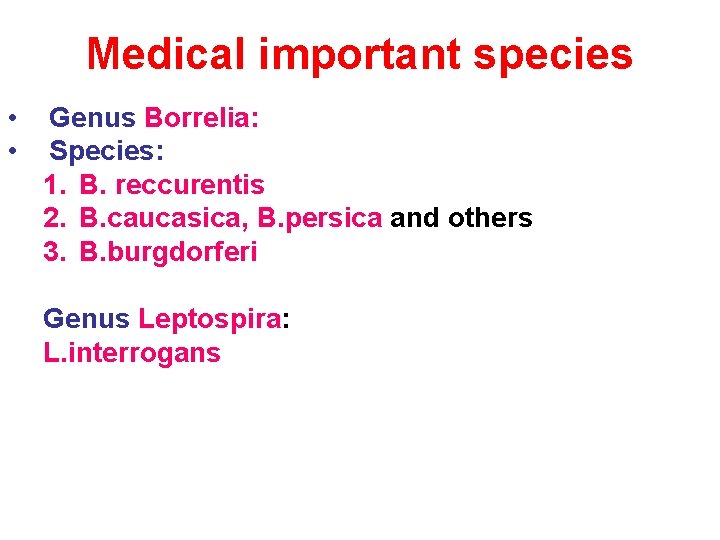 Pathogenic spirochetes Classification biological properties and their role