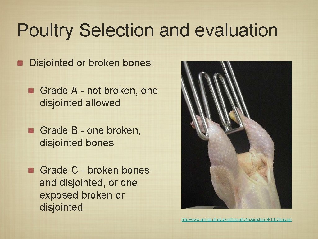 Poultry Grading and Consumption Poultry Industry 99 of