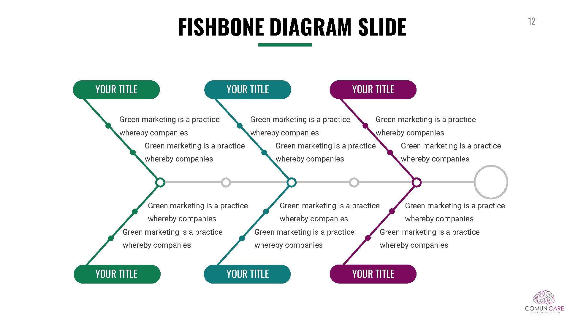 FISHBONE DIAGRAM SLIDE 1 YOUR TITLE A 3