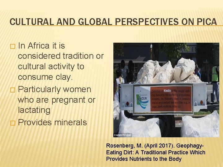 Carolina M Sanchez Fresno Pacific University PICA SYNDROME