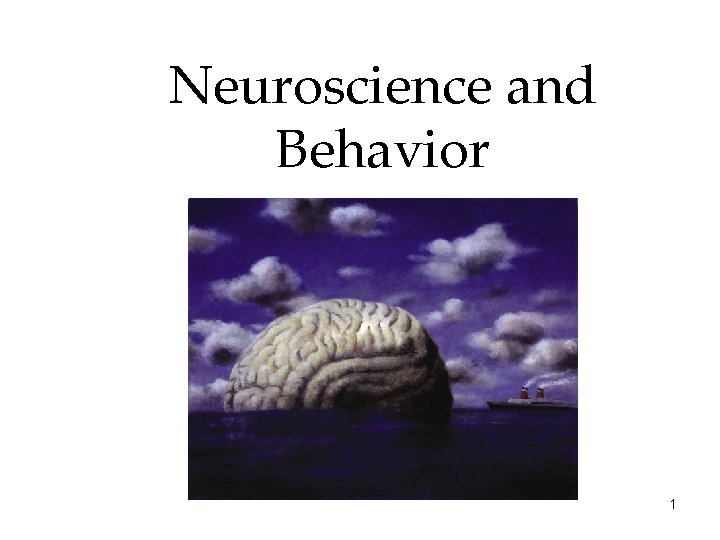 Neuroscience and Behavior 1 History of Mind Phrenology