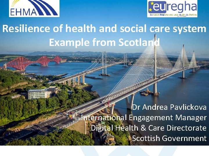 Resilience of health and social care system Example