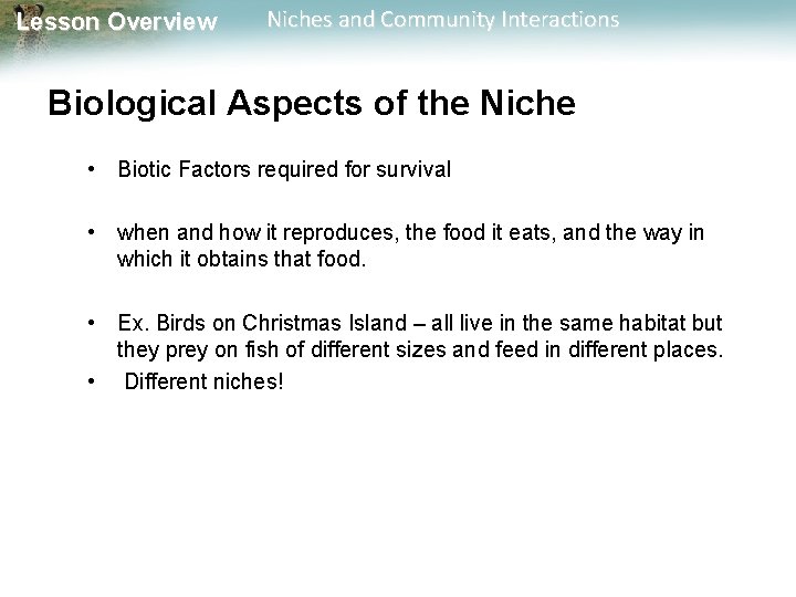 Lesson Overview Niches and Community Interactions Lesson Overview