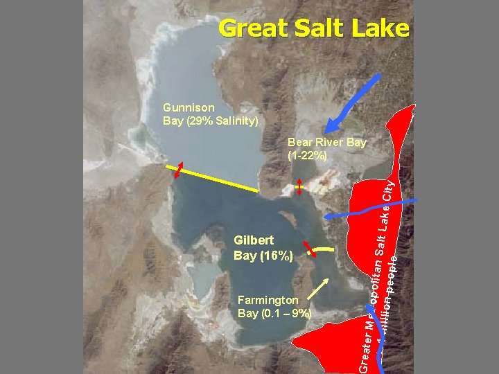 Extreme eutrophication and cyanotoxin levels in Farmington Bay