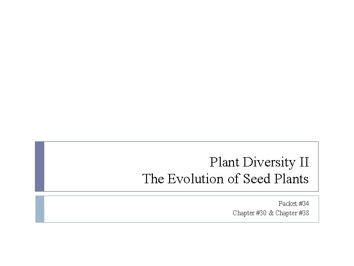 Plant Diversity II The Evolution of Seed Plants