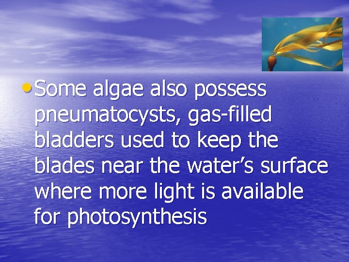 Chapter 6 Lecture Slides Copyright The Mc GrawHill