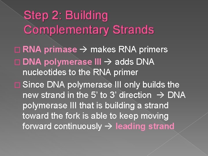 DNA Replication Pt 2 Repair SBI 4 U