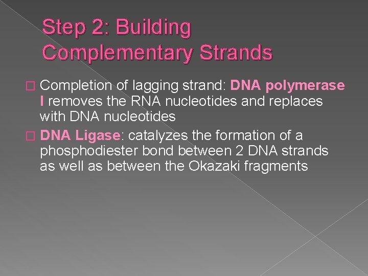 DNA Replication Pt 2 Repair SBI 4 U
