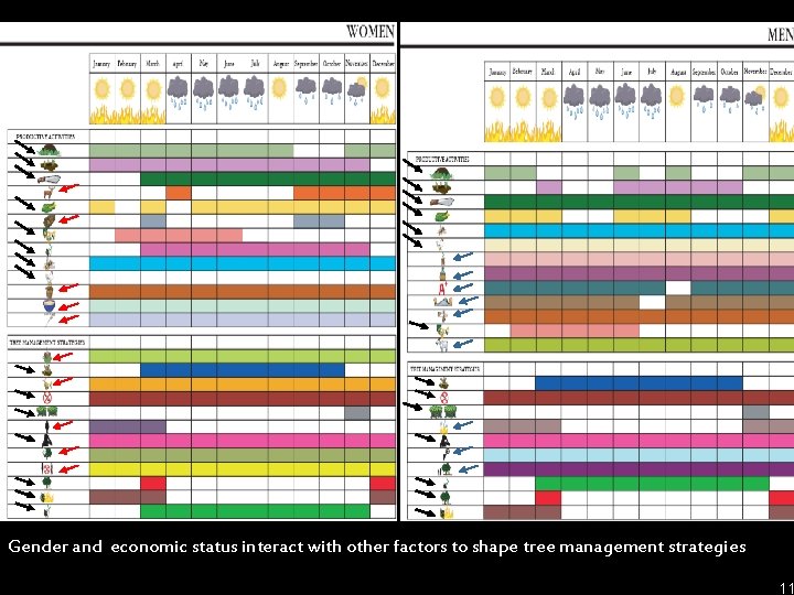 The Gender of Trees Gendered Local Knowledge Systems