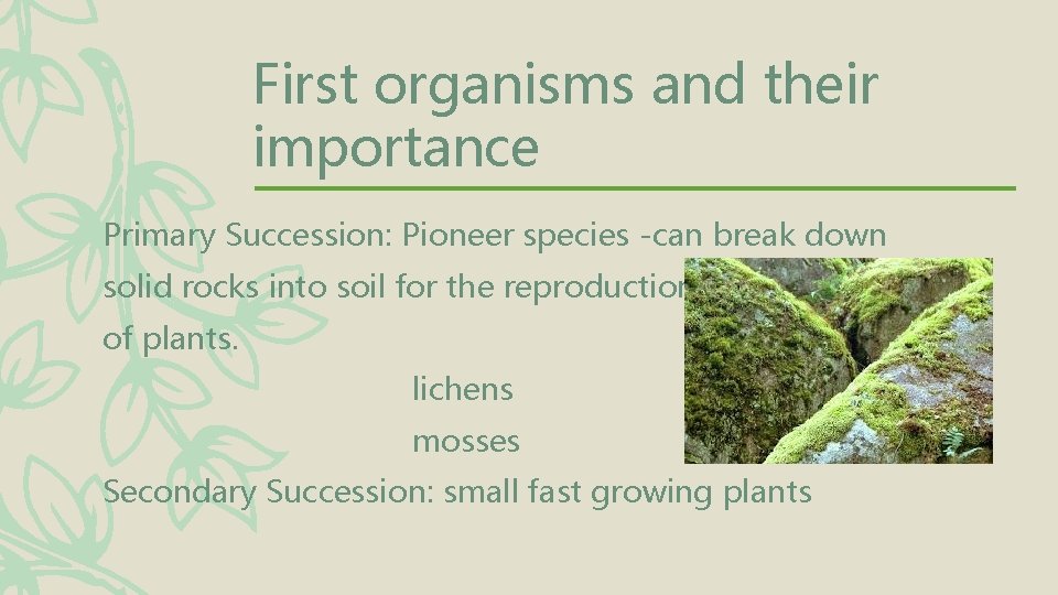 Ecological Succession What is ecological succession and its