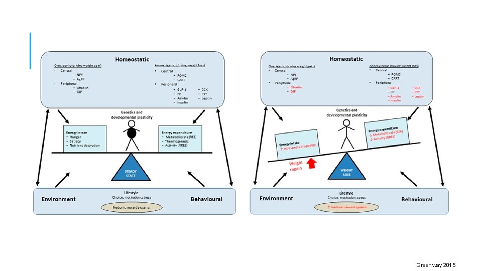 MEDICATI ON ASSOCIA TED WEIGHT GAIN Joanna Bailey