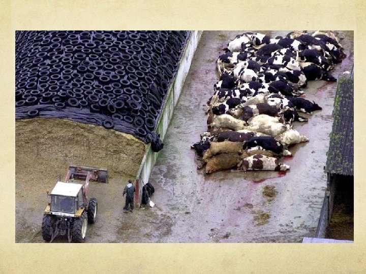 VIRUS OMAR FERNANDO CUADRO MOGOLLON VIRUS VIRUS Los