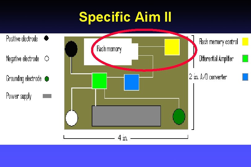 Portable ECG Collection System Joe Konwinski James Cook