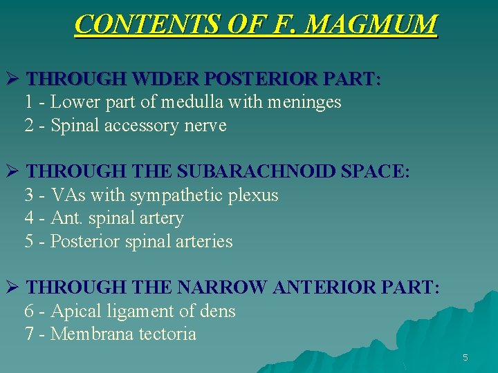 SURGICAL APPROACHES TO FORAMEN MAGNUM LESIONS 1 Surgical