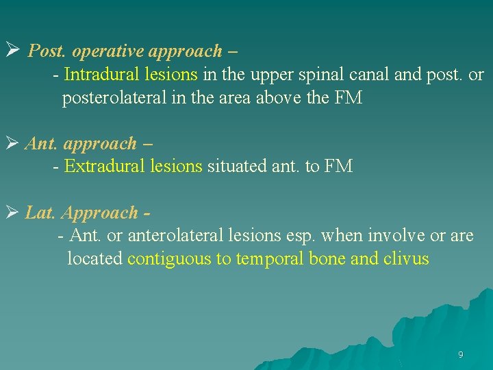 SURGICAL APPROACHES TO FORAMEN MAGNUM LESIONS 1 Surgical