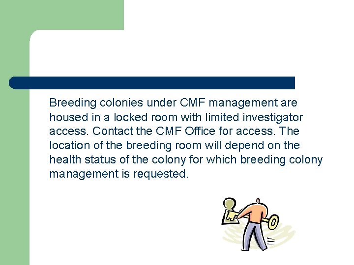 Management of Mouse Breeding Colonies The Principal Investigator