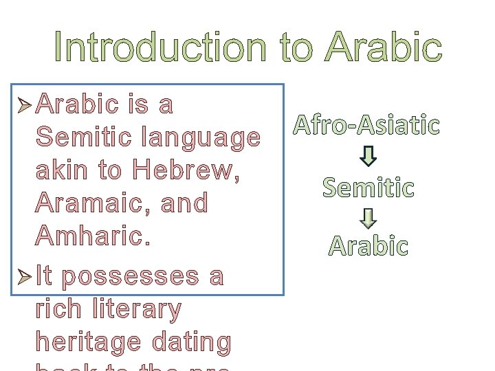 THE OUTLINE Introduction The to Arabic History The