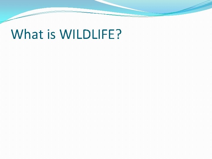 Biodiversity and Classification What is WILDLIFE What is