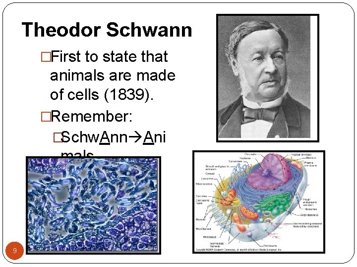 The History of Cell Biology 1 What is