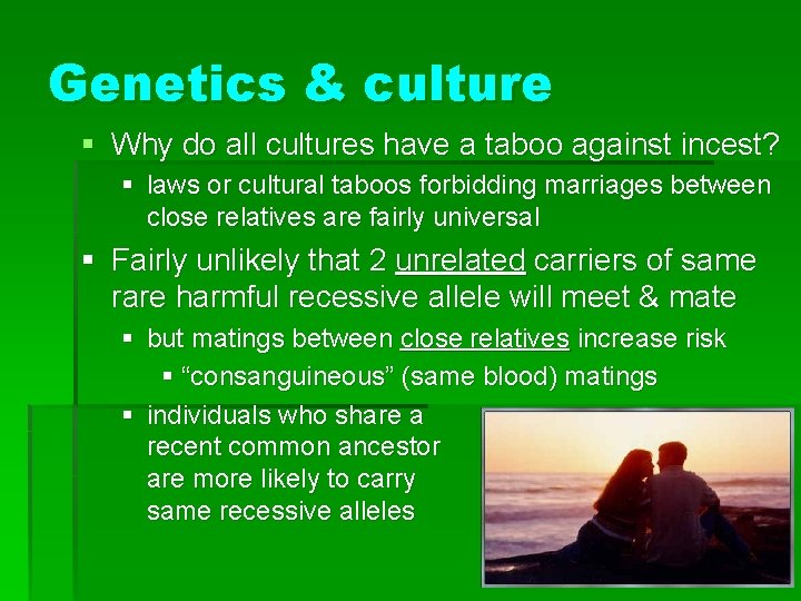 Bell Ringer 32211 Take note packet and worksheet