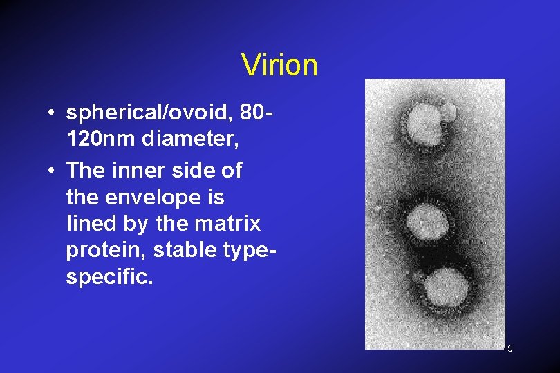 Respiratory viruses Dr Dunith Liyanagamage MBBS 1 Categories