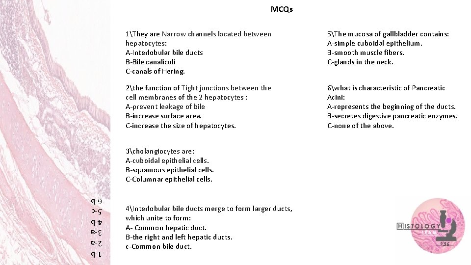 Biliary Passages Pancreas Color index Slides Important Notes