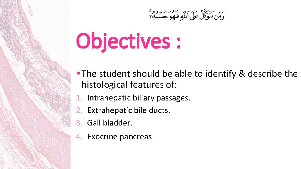 Biliary Passages Pancreas Color index Slides Important Notes