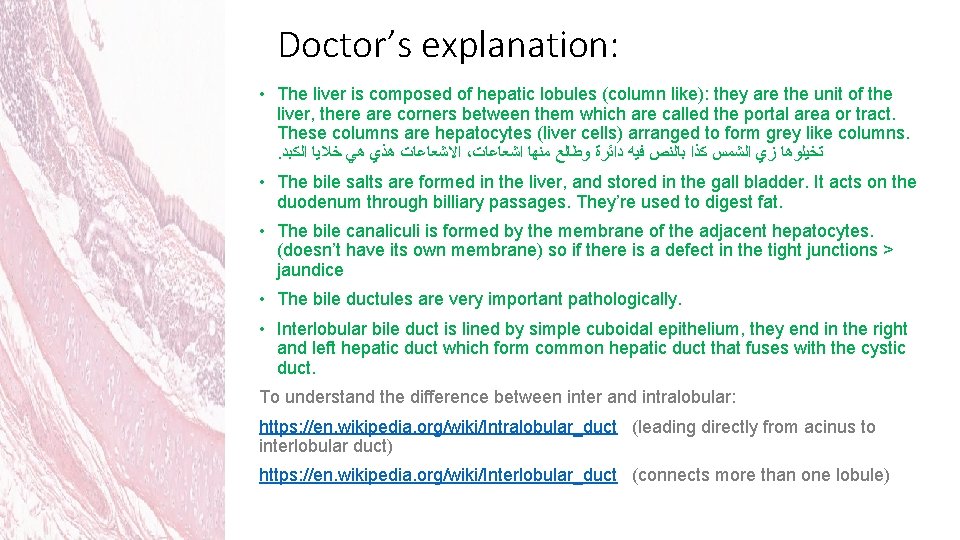 Biliary Passages Pancreas Color index Slides Important Notes