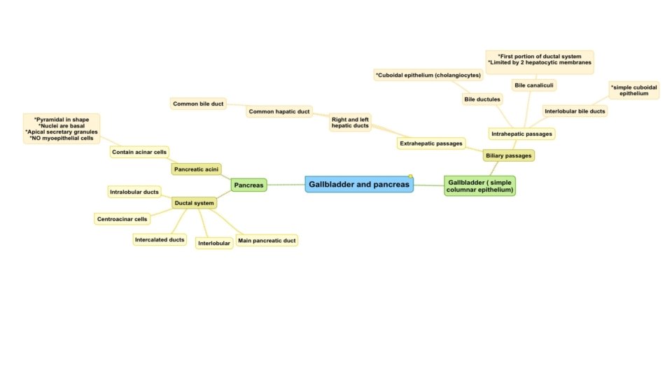 Biliary Passages Pancreas Color index Slides Important Notes