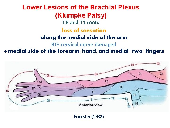 CASE 1 CASE 1 Dystocia Waiters tip sign