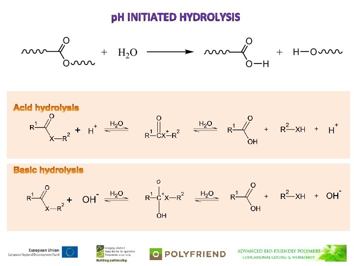 ADVANCED BIOFRIENDLY POLYMERS Hydrolytic degradation and biodegradation of