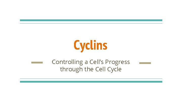 Cyclins Controlling a Cells Progress through the Cell