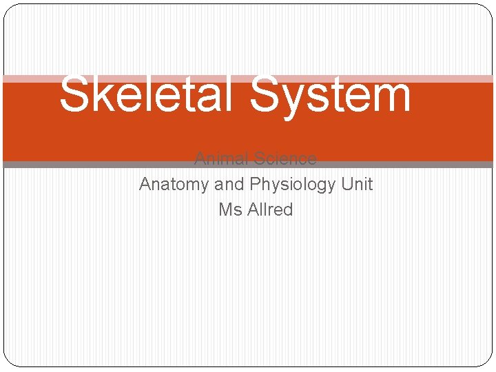 Skeletal System Animal Science Anatomy and Physiology Unit
