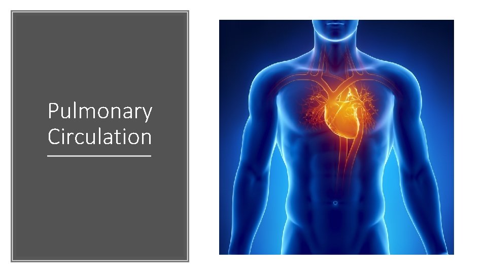 Respiratory Physiology Charlie Hession Pulmonary Circulation Hypoxia Lung