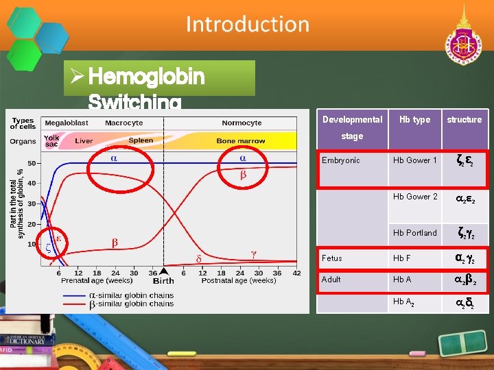 Prevalence of Severe Thalassemia and Hemoglobinopathies in Risk