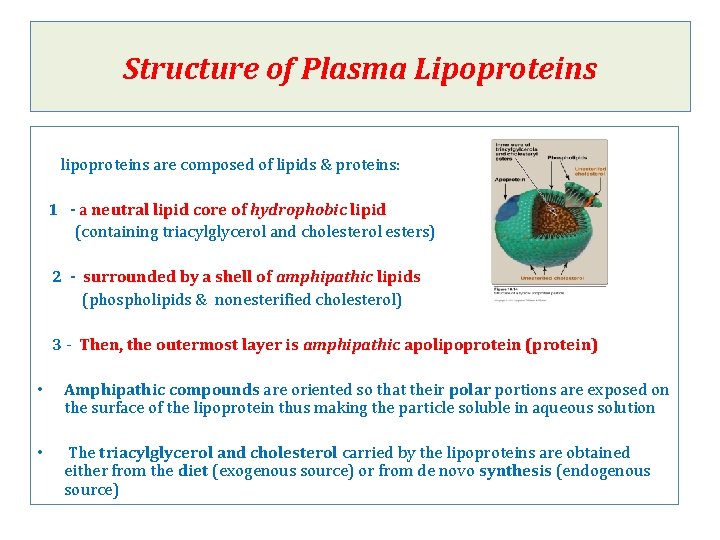 Introduction to Lipids What are Lipids Lipids are