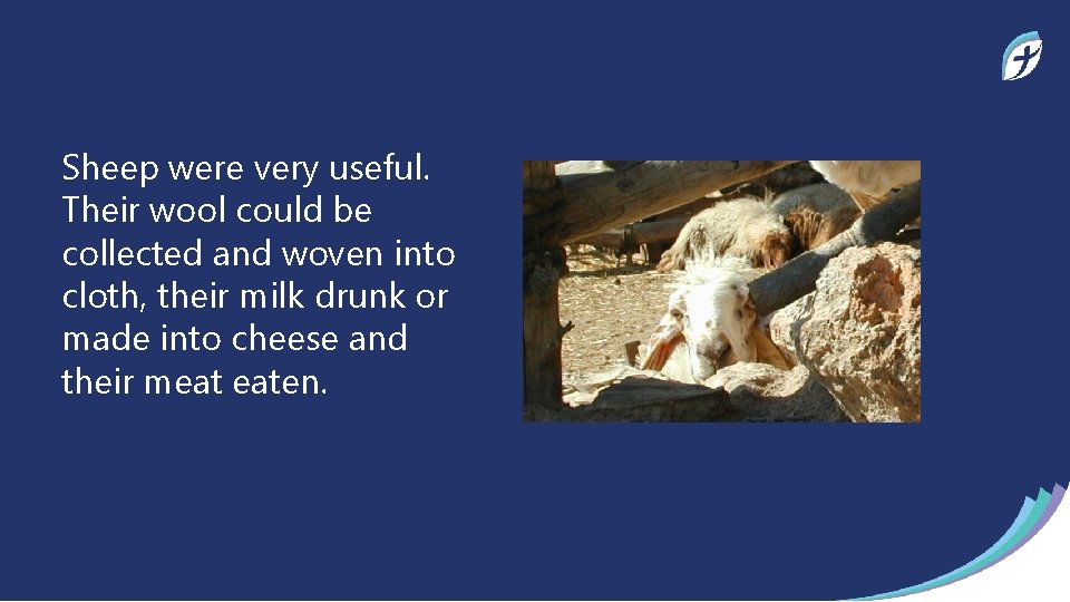 Teaching and Learning About Scripture Occupations Shepherding Tax